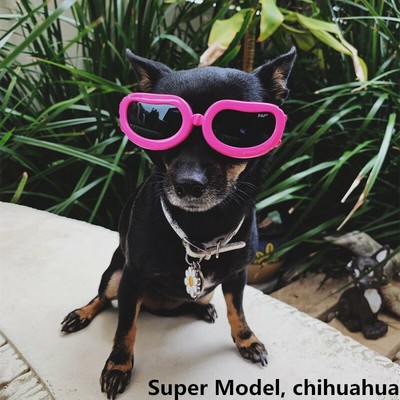 Doggles Dog Goggles Sunglasses Authentic UV eye protection for ...