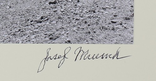 Josef Muench American 1904-1998 B/W Gelatin Silver Photograph Papago ...