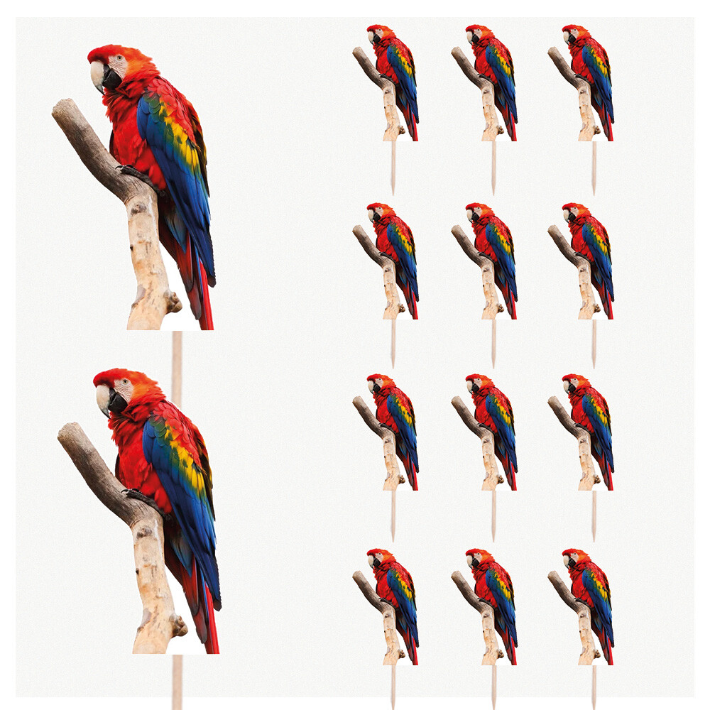 Parrot Bird Birthday Cupcake & Party Food Toppers Decorations Picks 14 ...