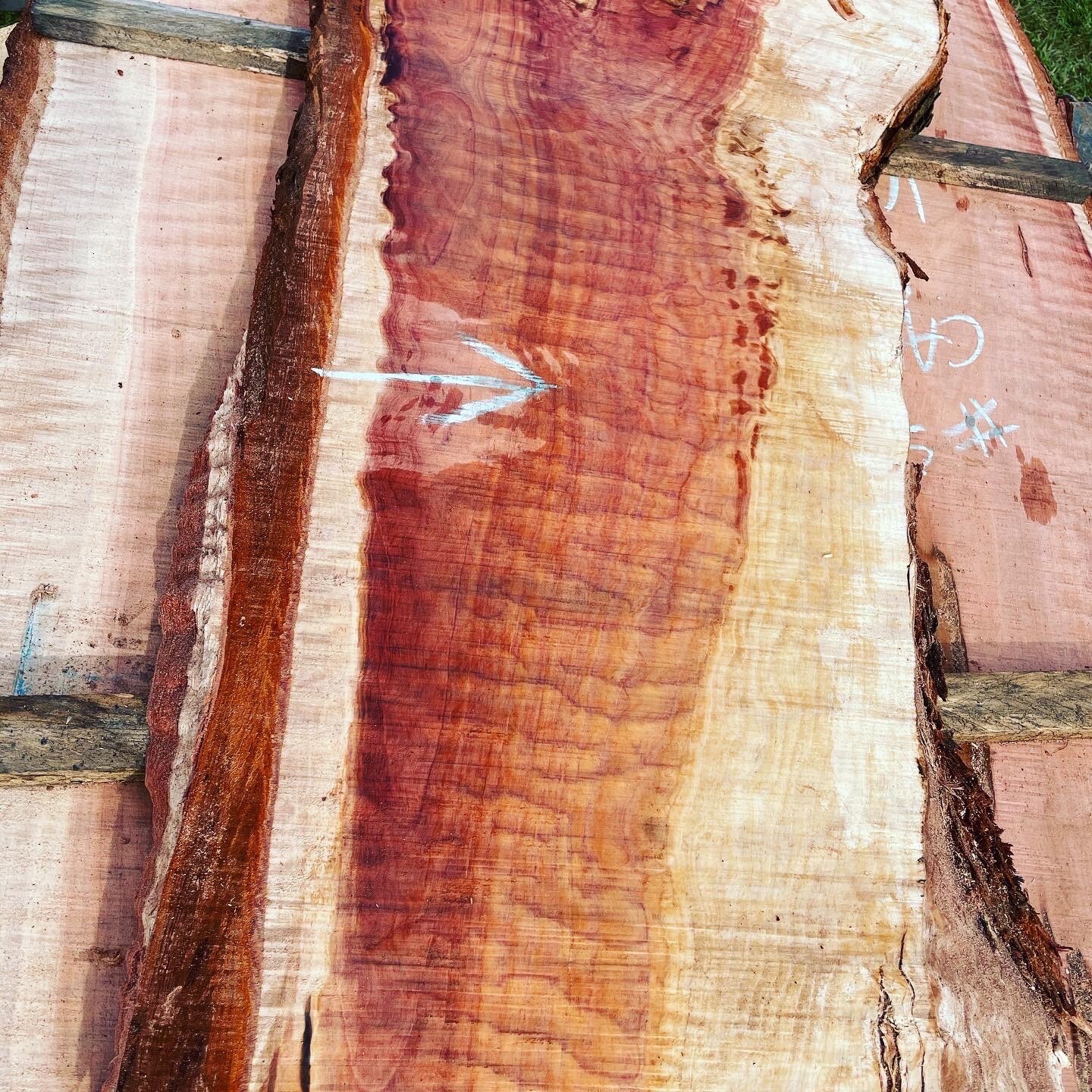 redwood timber slab #509 | eBay Australia