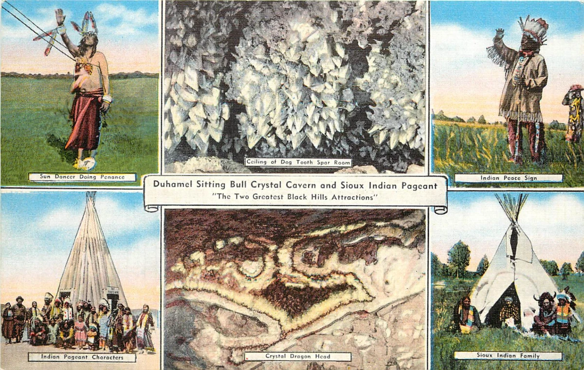 Sitting Bull Family Tree