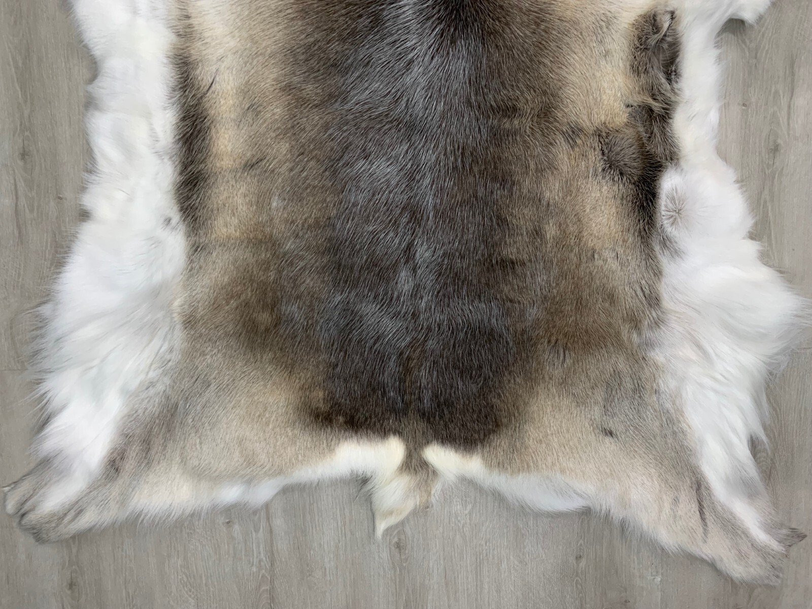 Scandinavian Reindeer Hide | Decorative Reindeer Skin Genuine Reindeer ...