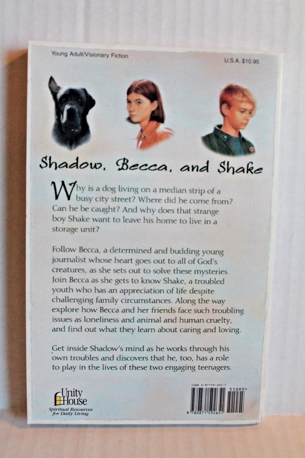 Shadow's Stand by Raymond Teague (2001, Paperback) Unity House Young ...