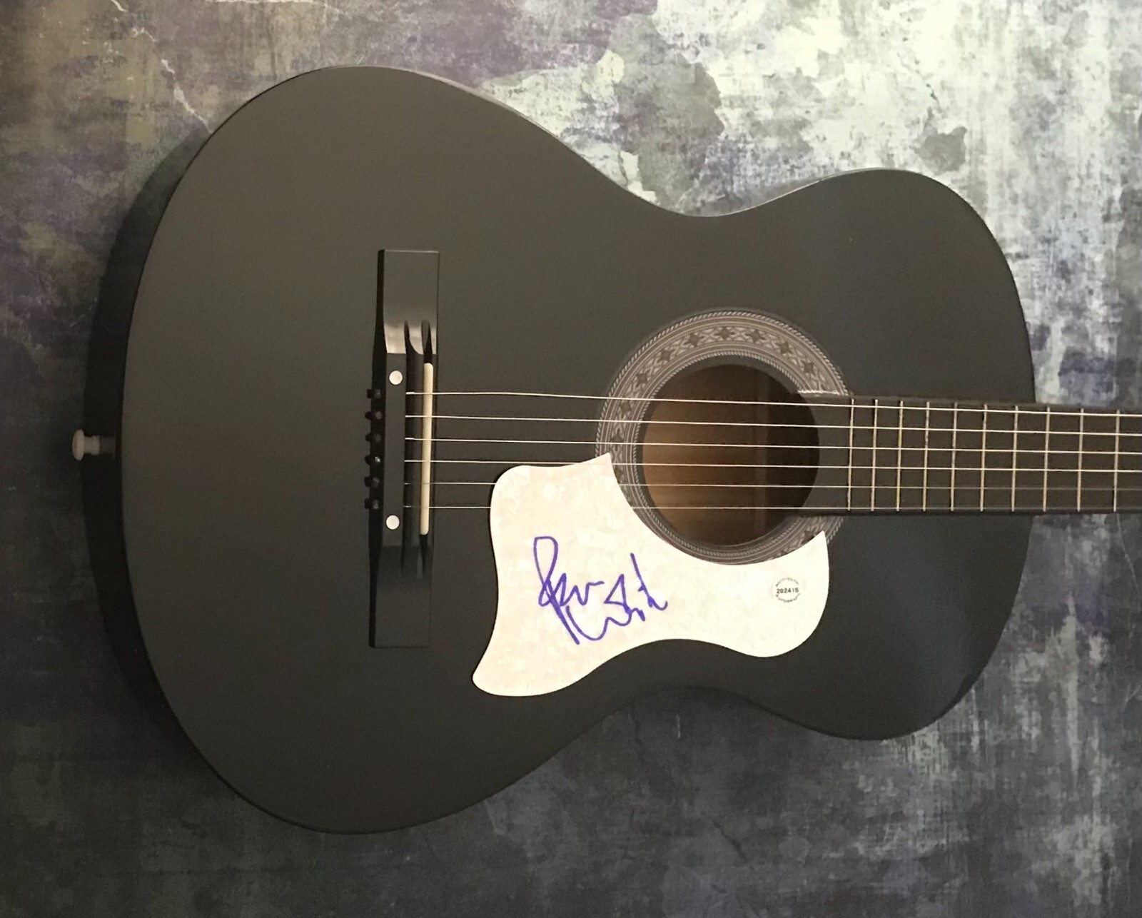 GFA Caravan of Dreams Star * PETER WHITE * Signed Acoustic Guitar PROOF ...