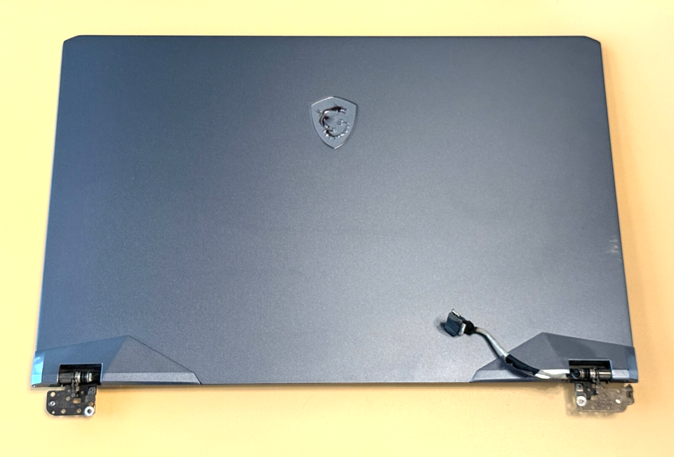 COMPLETE ASSEMBLY MSI GE76 GP76 Raider 11UE 12UH 17.3" FHD LCD Screen ...