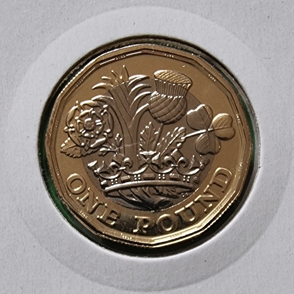 £1 One Pound Coin 2016 to 2026 Floral / Bees BUNC PROOF & LEFTY Types ...
