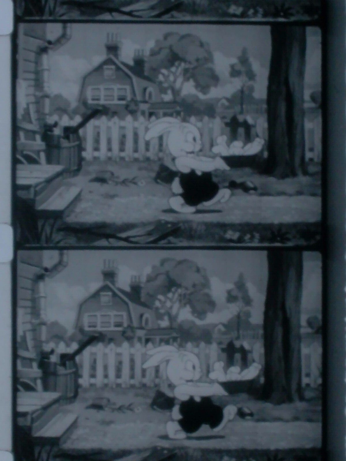 Oswald Rabbit in Love Sick 1937 black & white 16mm cartoon film with ...