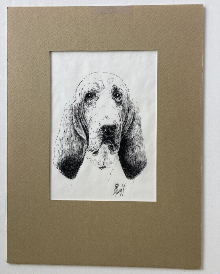 Laughlin 70s Pen Ink Pet Drawing Art MCM Retro 12x9” Dog Basset Hound ...