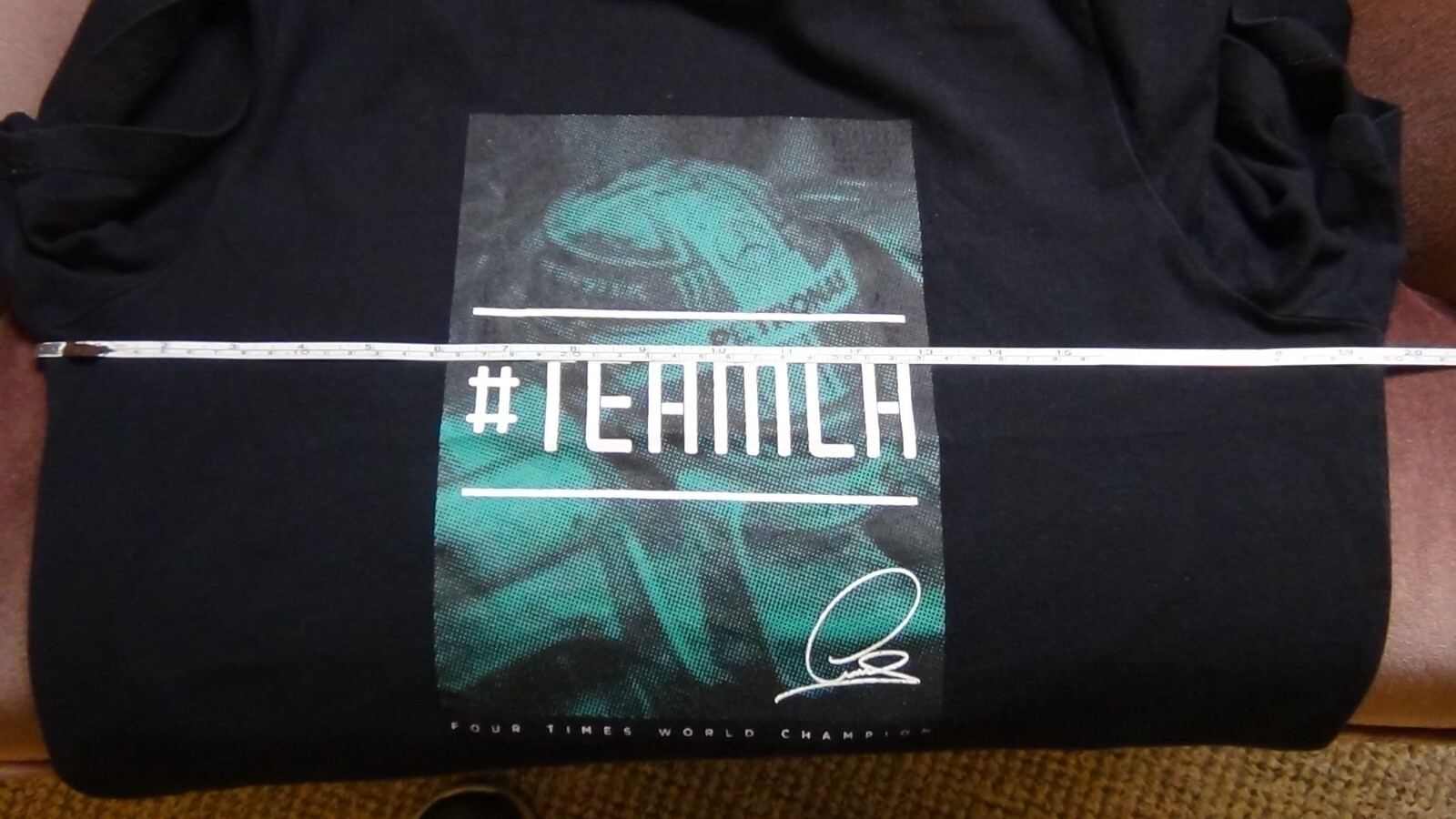 Mercedes Petronas Lewis Hamilton 4 Time Champion 2017… - Gem