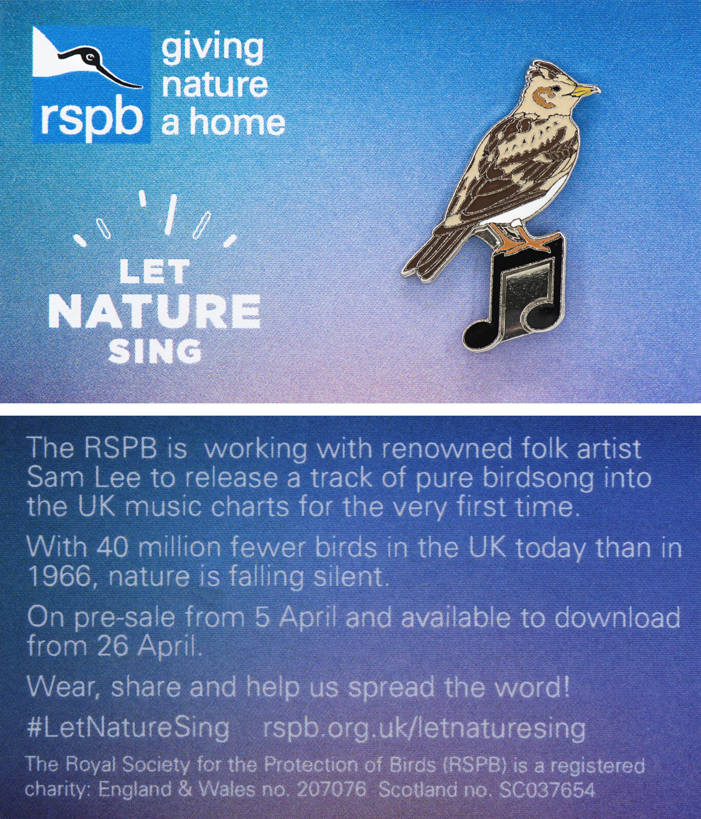 RSPB Pin Badge GNaH Special Let Nature Sing Skylark P03156 | eBay UK