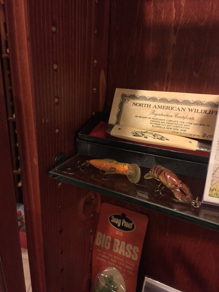 Vintage Fishing Lure/reel Display Case!!! | eBay