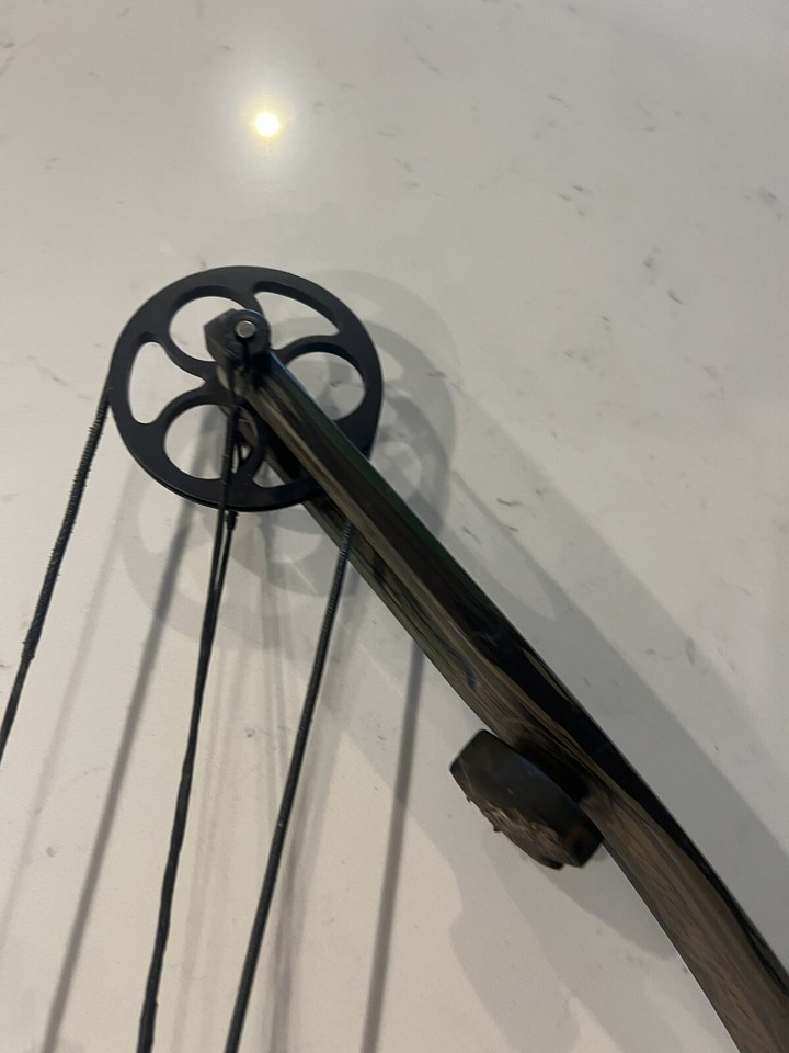 Mathews FX Solo Cam Compound Bow | eBay