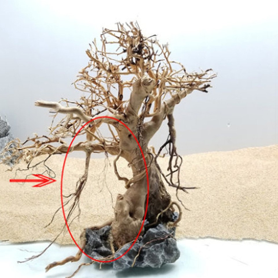 Natural Driftwood Aquarium Root Trunk Tree Fish Tank Landscape Wood ...