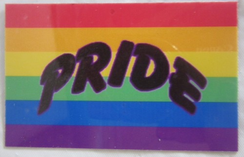 LGBT Pride Rainbow Flag Magnet 1.75" x 3" fridge magnet, Curve PRIDE | eBay