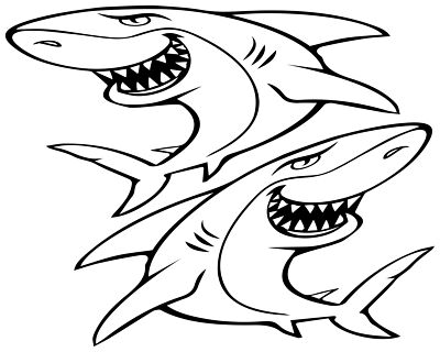 Aufkleber Shark Hai 60x50 cm für Auto KFZ Haifisch Sticker Wandtattoo ...
