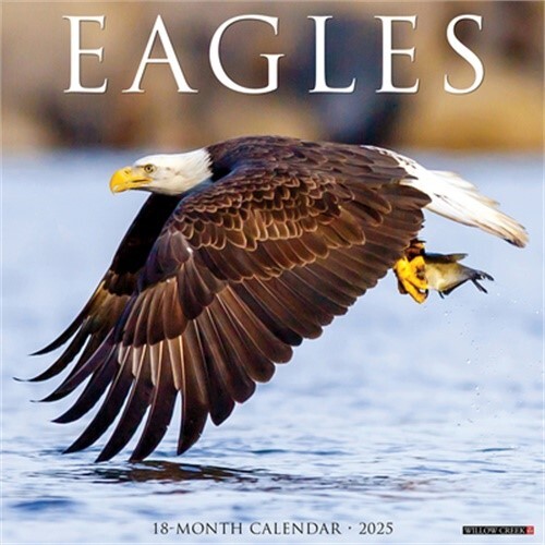 Eagles 2025 12 X 12 Wall Calendar (Calendar) 1549242784| eBay
