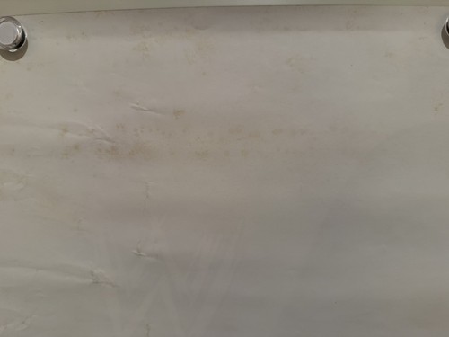 2001 WWF Lita Poster 56.4cm x 88cm Divas Team Extreme WWE HOF RAW | eBay