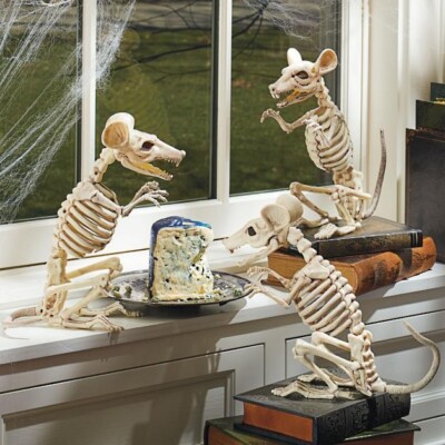 Grandin Road 11" Large Skeleton Rat Halloween Decoration Mouse Bones ...