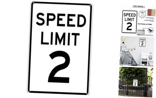 Speed Limit 2 Sign, Funny two fast birthday decor, Metal Vintage Tin ...