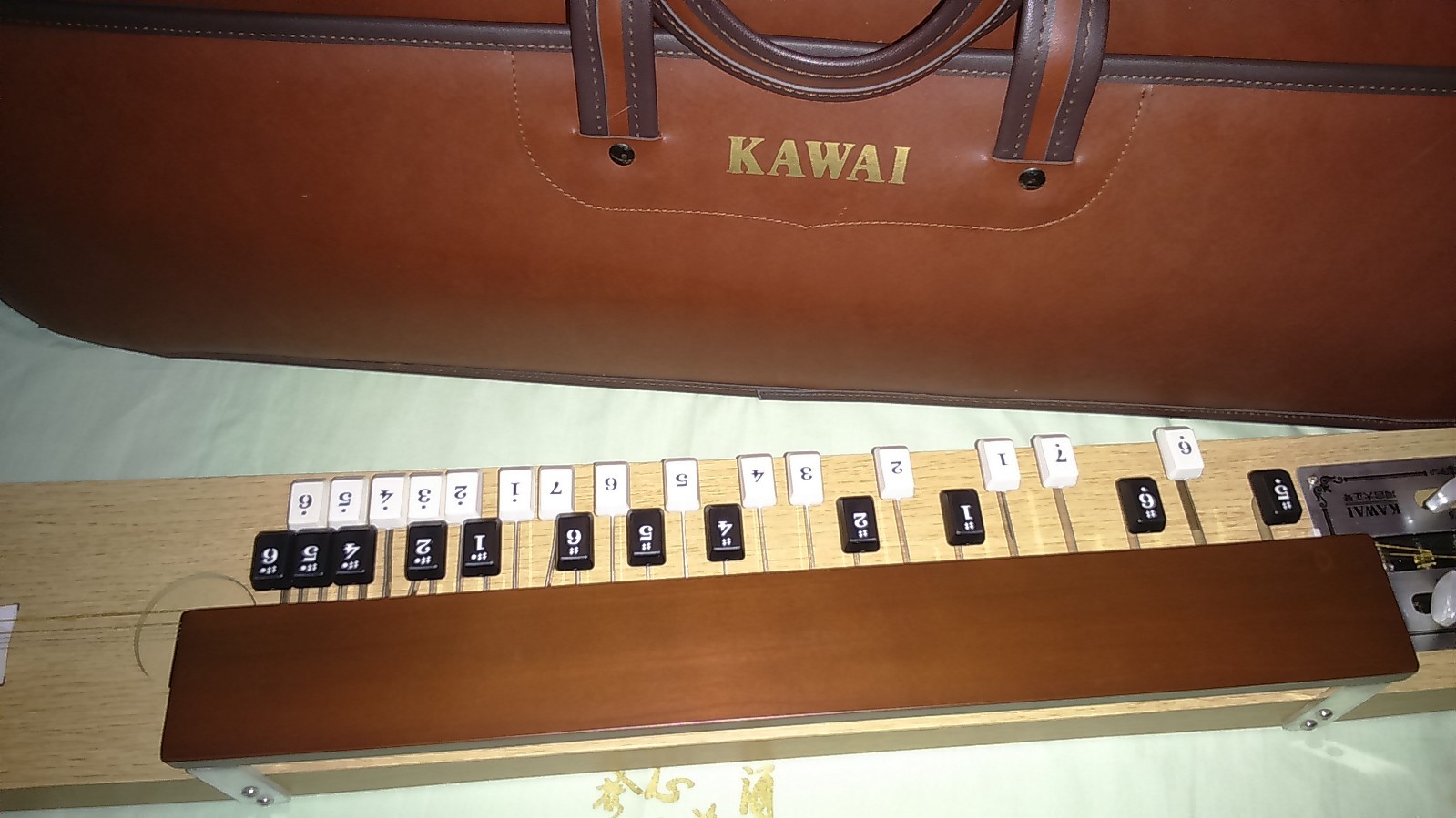 Gift Ideas: Kawai Acoustic Taisho Koto (Taishogoto) with Soft Case (#01 ...