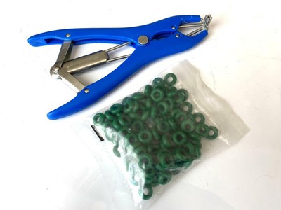 Animal Health & Veterinary - Band Castration