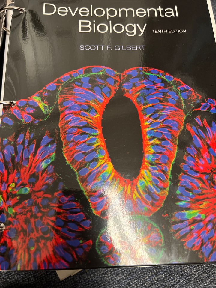 Developmental Biology by Scott F. Gilbert (2013, Ringbound ...