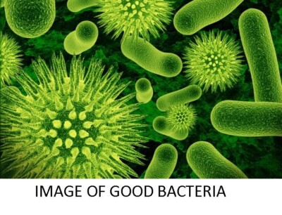 Probiotic 45 Billion CFU Per Capsule 30 caps x 450mg (USA) Bulk Pack ...