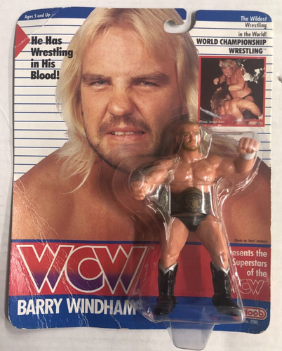1990 Barry Windham WCW Action Figure Galoob Sealed NEW IN BOX!!! | eBay