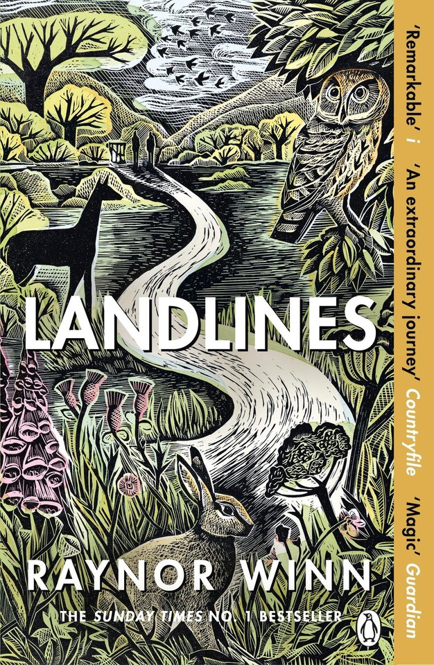 Landlines | Raynor Winn | Taschenbuch | B-format paperback | 316 S ...
