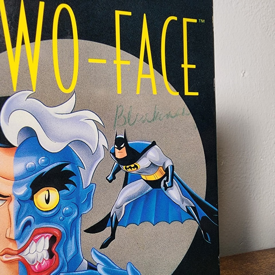 Adventures of Batman & Robin / TWO-FACE (1995) VHS Movie - Cartoon ...