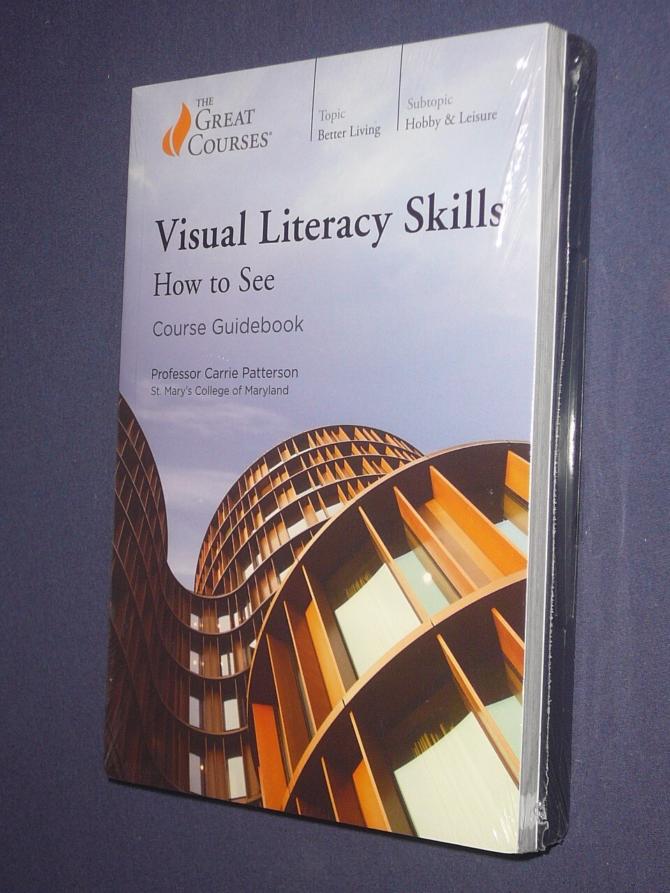 Teaching Co Great Courses DVDs : VISUAL LITERACY SKILLS : How to See ...