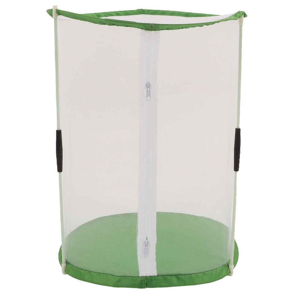 Insect Observation Cage Cylindrical Mesh Habitat for Butterflies and ...