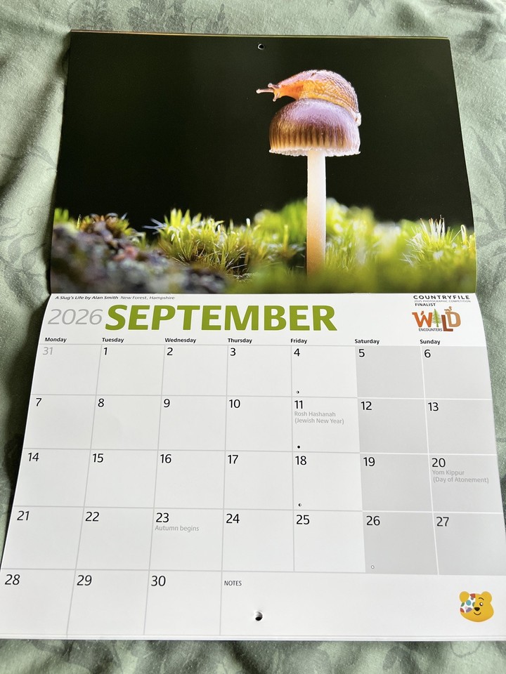 Countryfile Calendar 2026 Brand New #5 | eBay UK