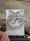 ACEO original, cat drawing, 2.5 x 3.5, colored pencil drawing, signed ...