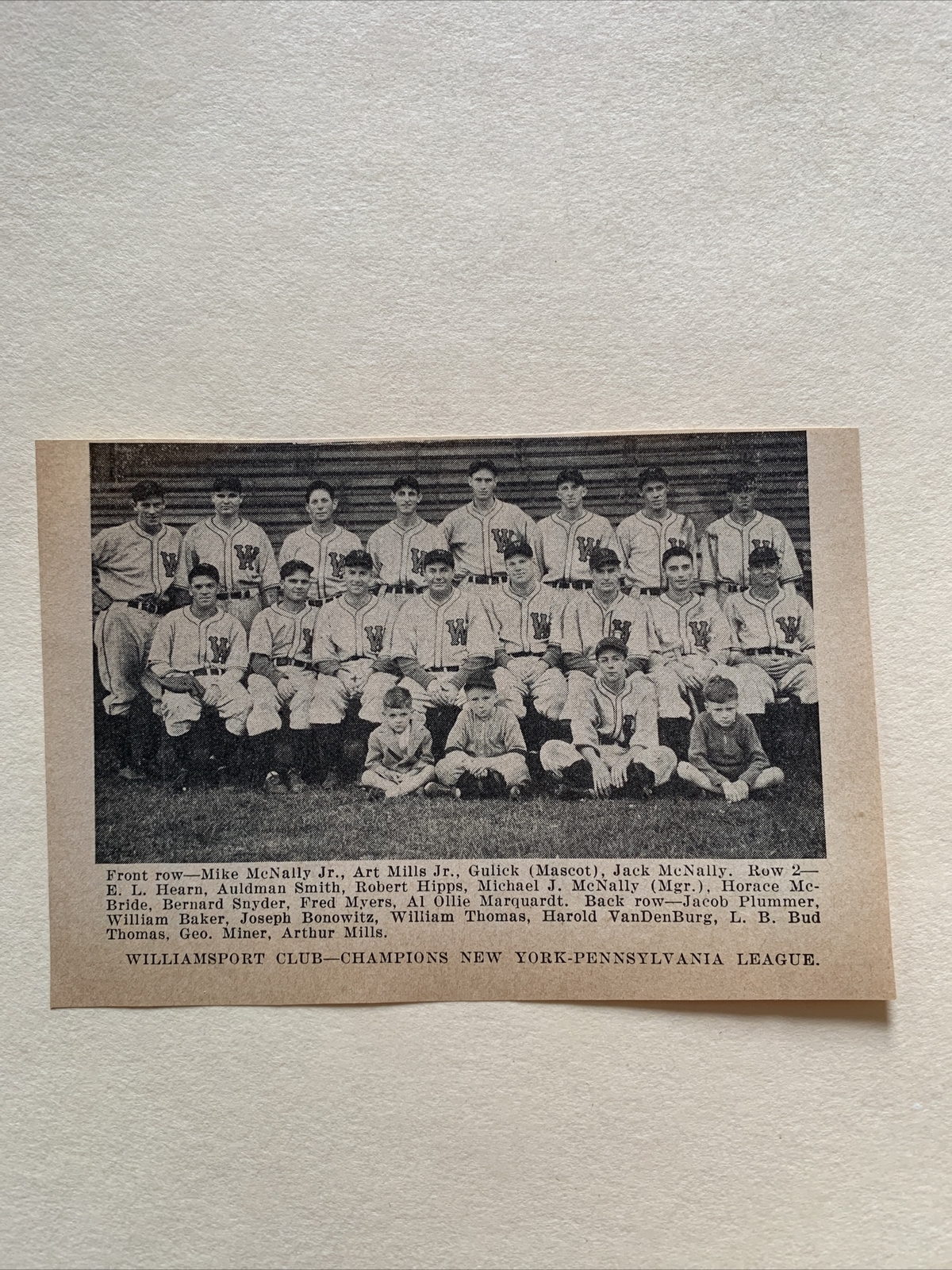 Williamsport Grays Bill Blake Bud Thomas Vandenberg 1934 Baseball Team ...