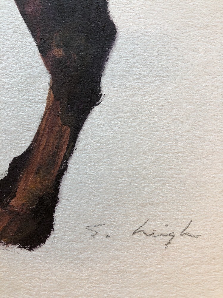 Original Painting ILLUSTRATION BISON Stephen Heigh | eBay