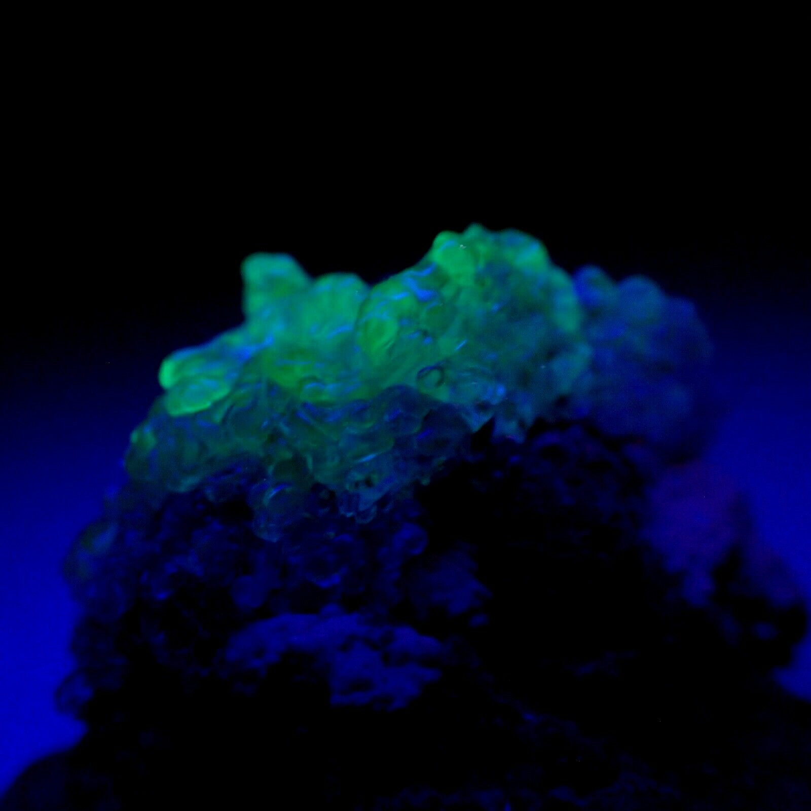 HYALITE * WATER-CLEAR BOTRYOIDAL OPAL ON MATRIX * NICE ! Valec, CZECH ...