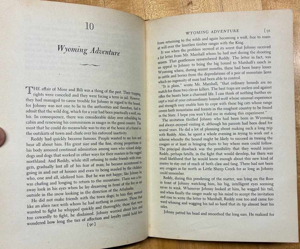 Wilderness Champion:Story of a Great Hound-Joseph Wharton Lippincott ...