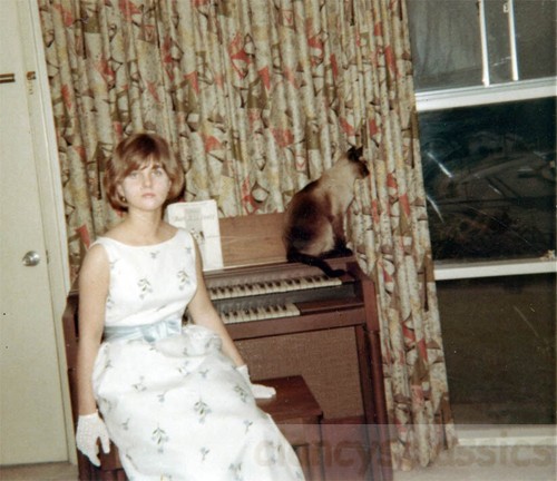 1964 Teenage Girl Elec Organ Prom Dress Siamese CAt Keeps WAtch for her ...