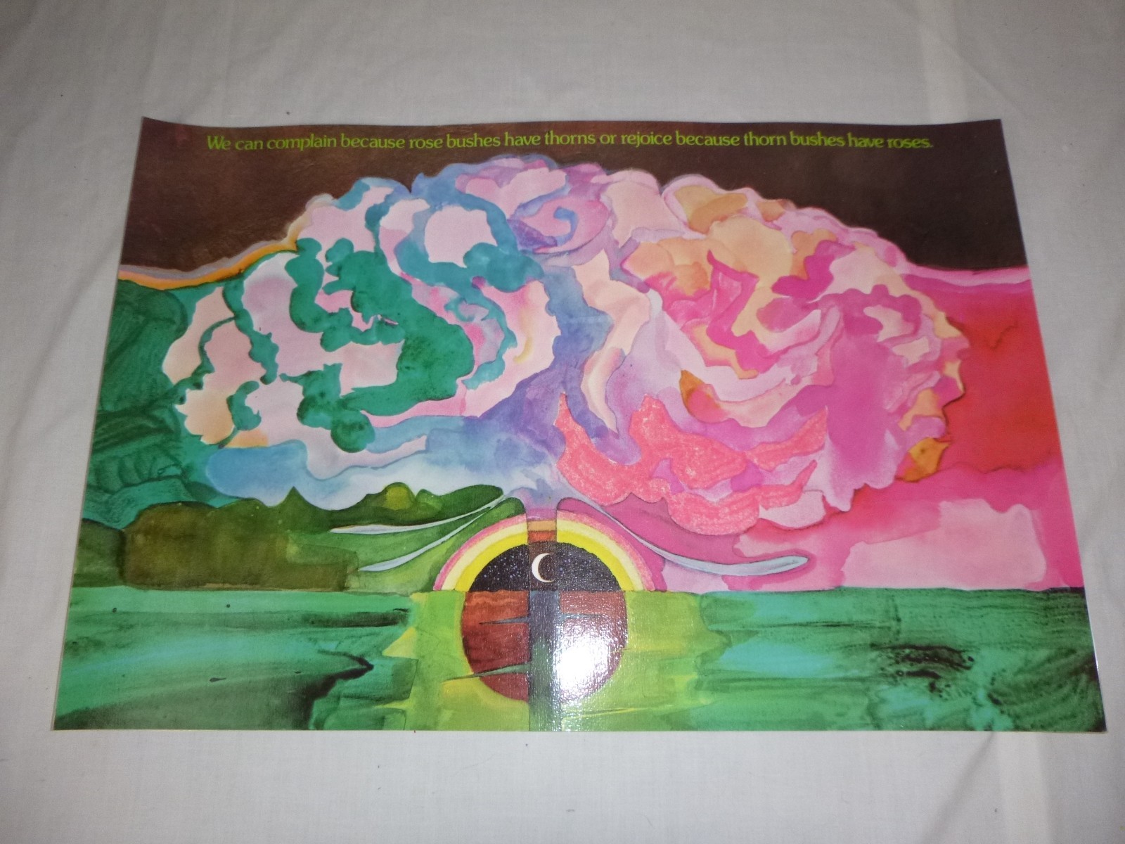 Vtg 70s Laminated Argus Poster #534 Rose Bushes Thorns POP Art Terry ...