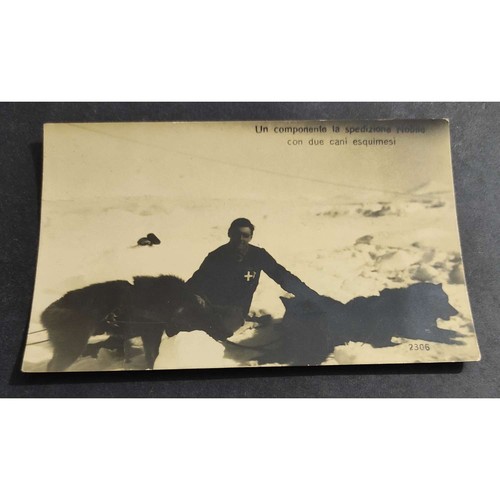 Cartolina Un Componente la Spedizione Nobile con Due Cani Esquimesi | eBay