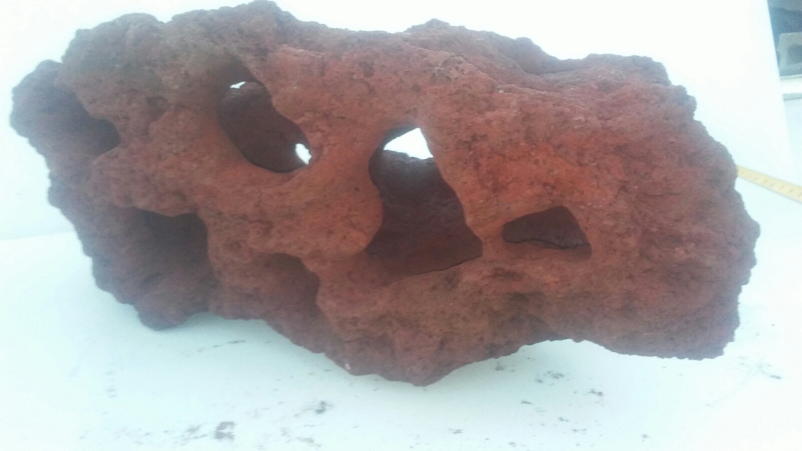 Cichlid Fish tank aquarium labyrinth swim through cave red lava holey ...