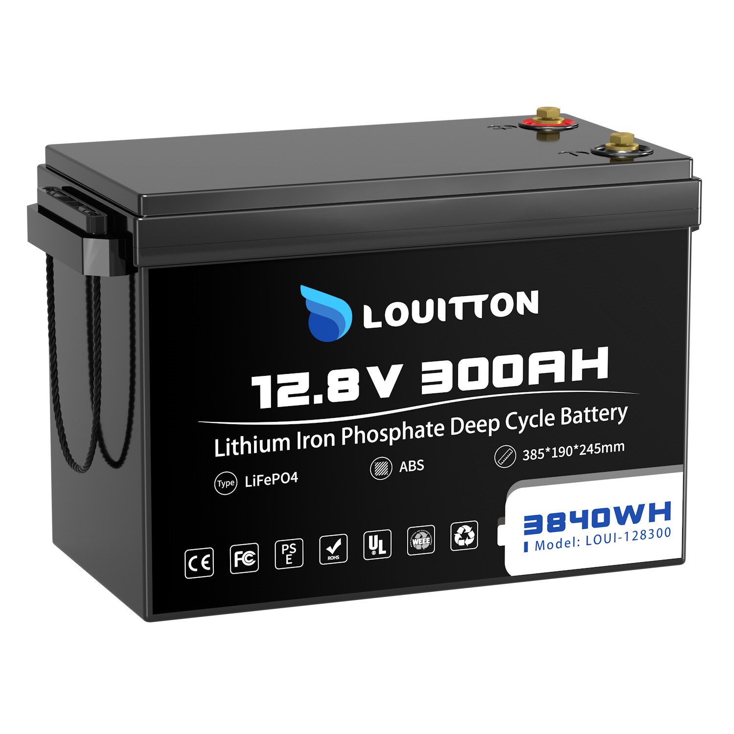 LiFePO4 Akku 12V 300Ah Lithium Batterie mit 200A BMS für Solar ...