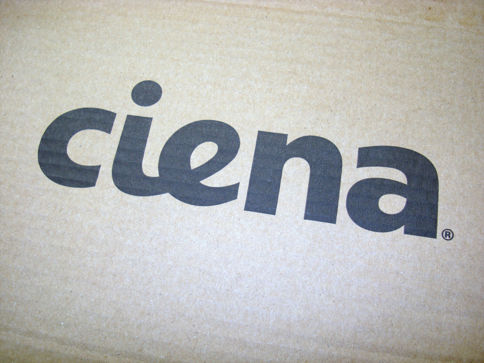 Ciena NTK505YAE5 Blank Filler Replacement Interface Card for sale ...