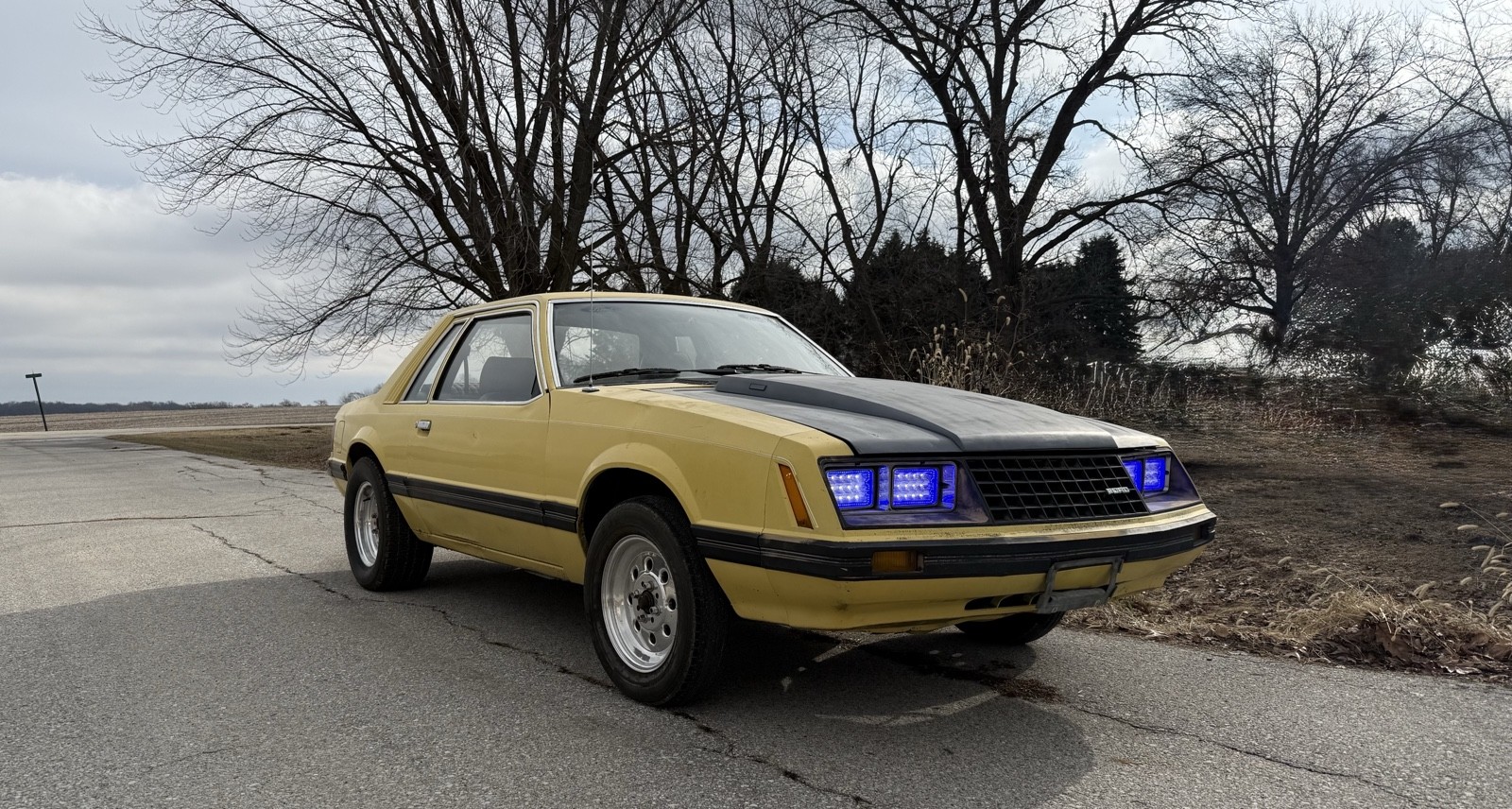 1980 Ford Mustang | Timeless Rides