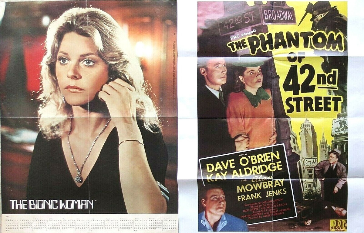 Lindsay Wagner Bionic Woman Poster Lindsay Wagner The Cheapest Bionic
