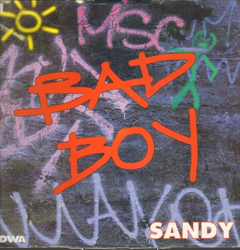 SANDY ‎– Bad Boy - Dwa ( Dance WORLD Attack) ‎– 1995 Dwa 01.75 - Italia ...