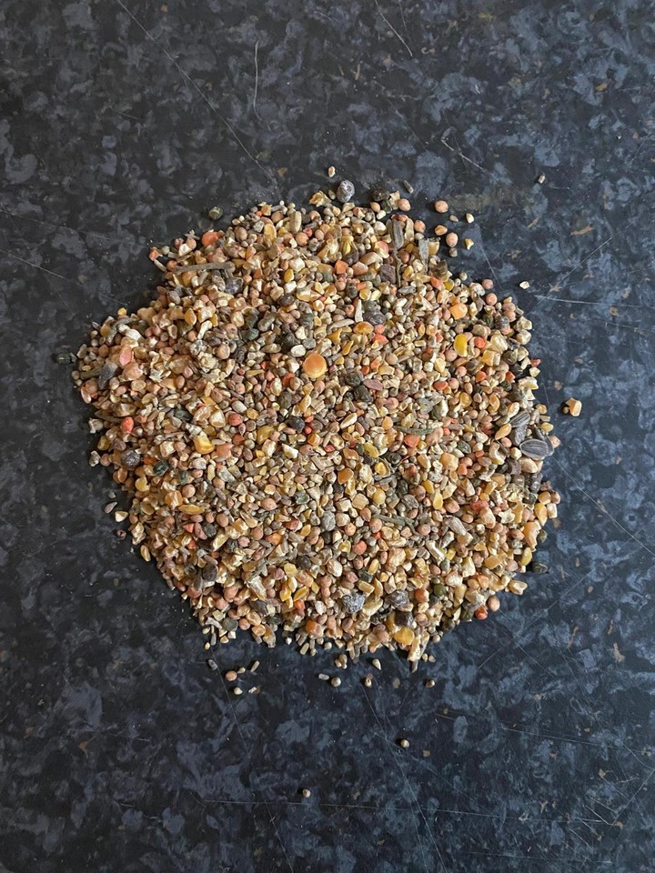 Wild Bird Feed Mix - Bird Seed Feed All Season Mixture100g 500g 1kg 2kg ...