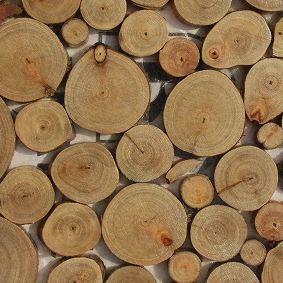 100pcs Natural Pine Wood Slices Round Disc Tree Bark Circ Craft Chips ...