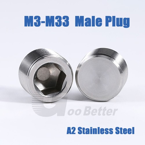 Metric Allen Male Plug A2 Stainless Steel Internal Hex Head Blanking ...